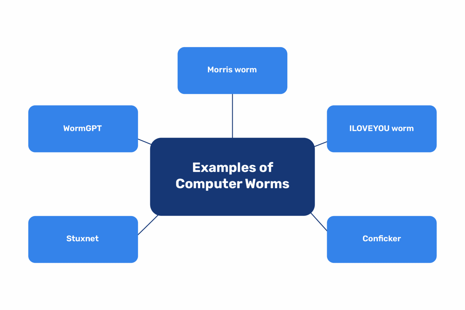 What Is A Computer Worm? How It Spreads & How To Stop It