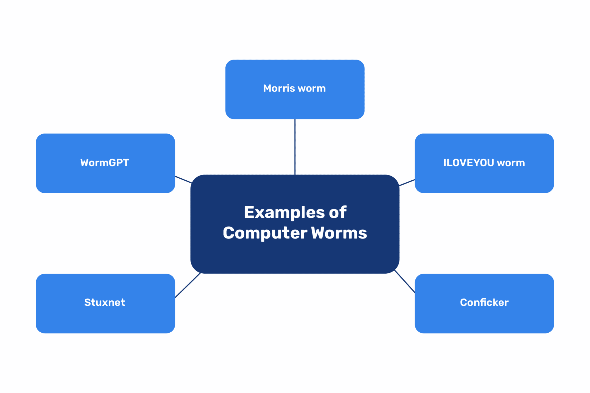 What Is A Computer Worm? How It Spreads & How To Stop It